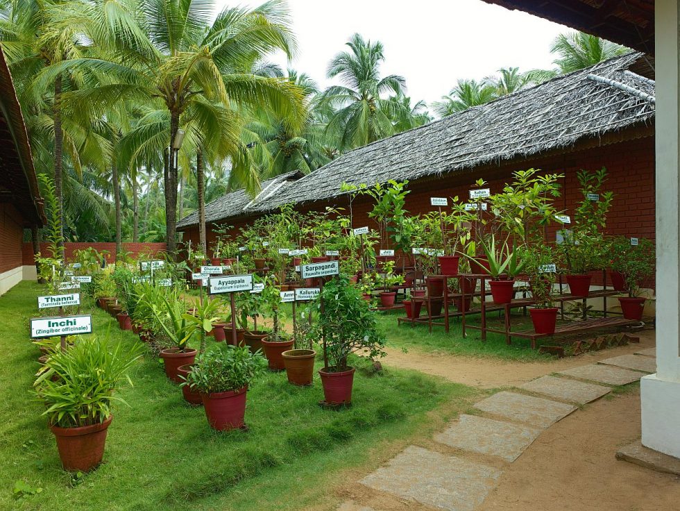 Nattika Beach Ayurveda Resort - PlanReisen - Die Ganze Welt des Reisens